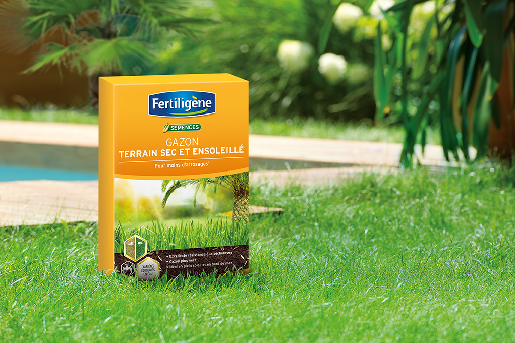 Comment choisir sa semence de gazon ? : Questions du mois | Blog La ...