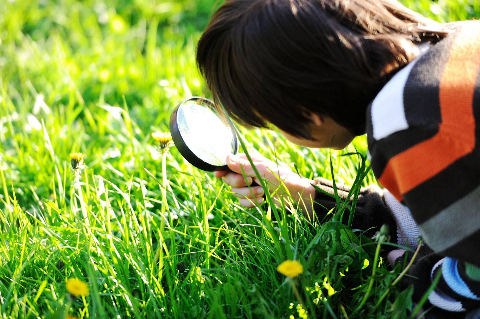 Top 5 Backyard Activities for Kids | Love The Garden