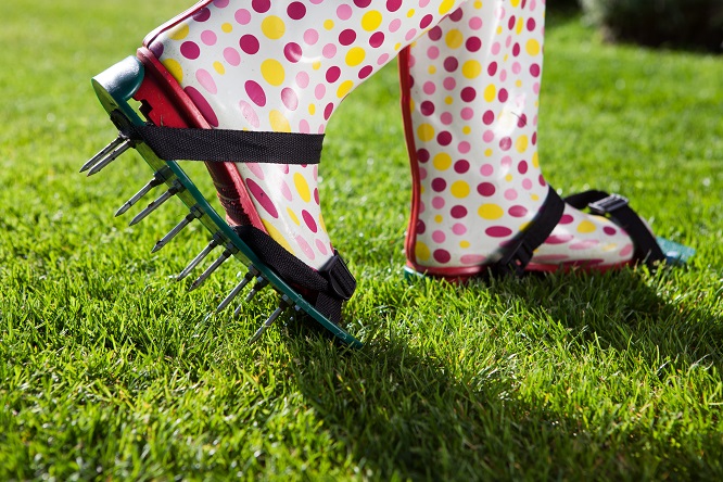 Spring Lawn Care Guide | Love The Garden