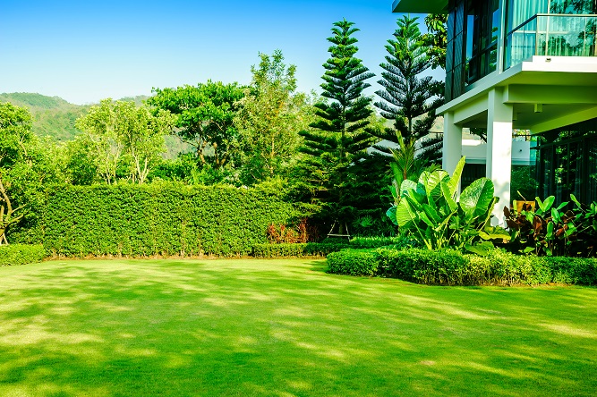 Fertilising to Achieve the Perfect Lawn | Love The Garden