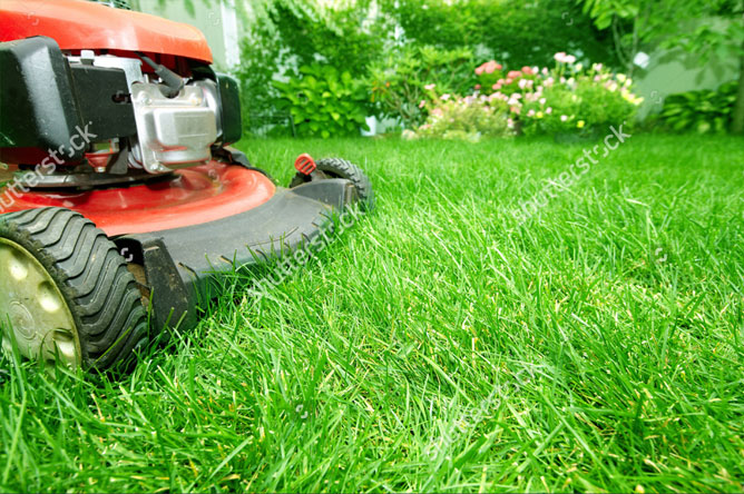 Seasonal Lawn Care Tips - Scotts Australia