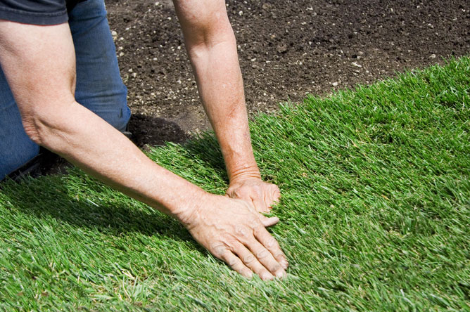 Choosing the right lawn for your garden - Scotts Australia