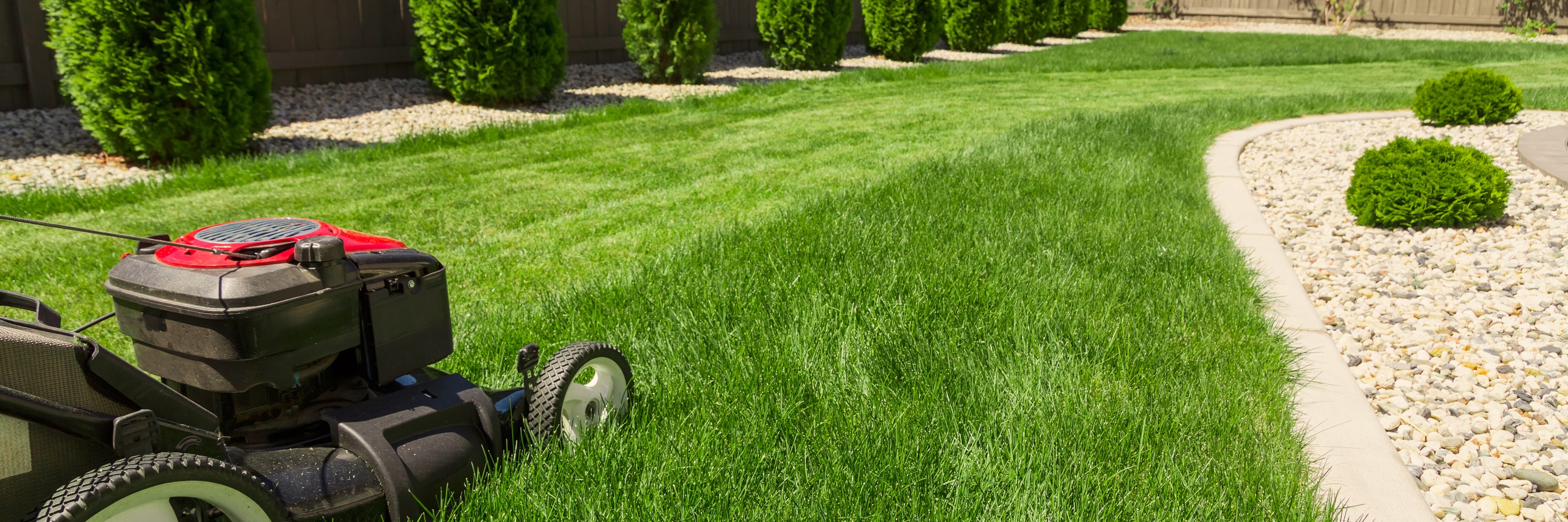 Lawn Care Basics - Scotts Australia