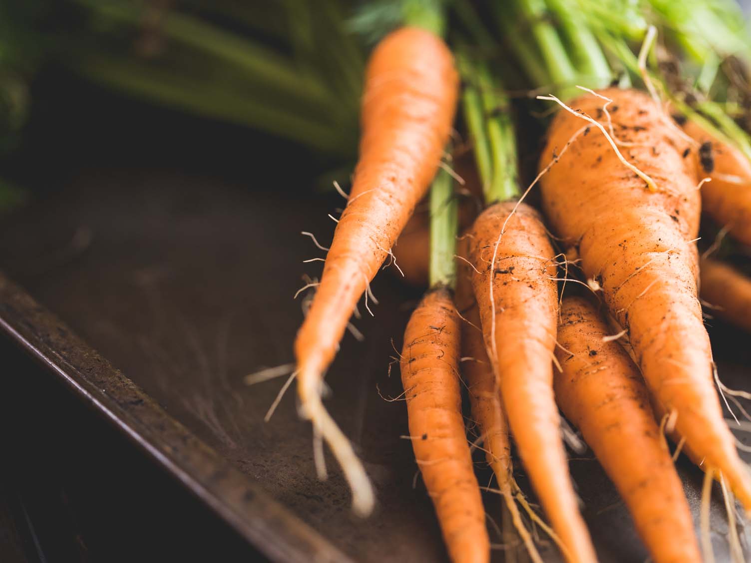 How to grow carrots | Love The Garden