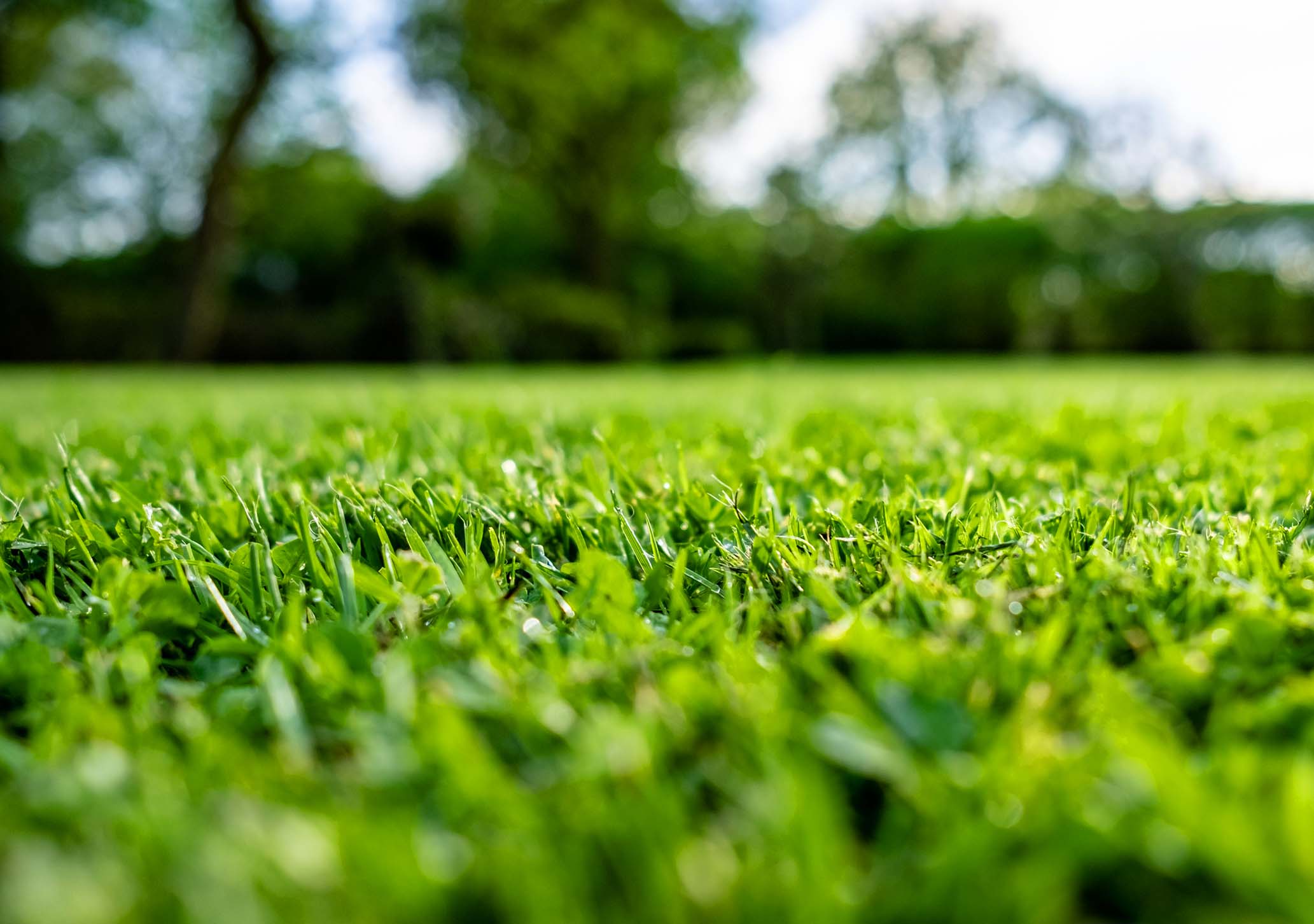 Your Gardening Destination For Gardening Products And Advice | Love The ...