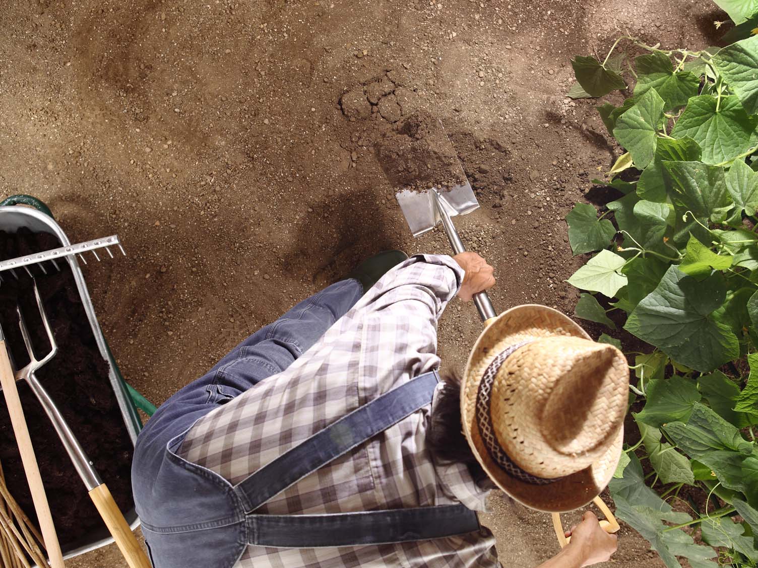 Love The Garden | Evergreen Garden Care