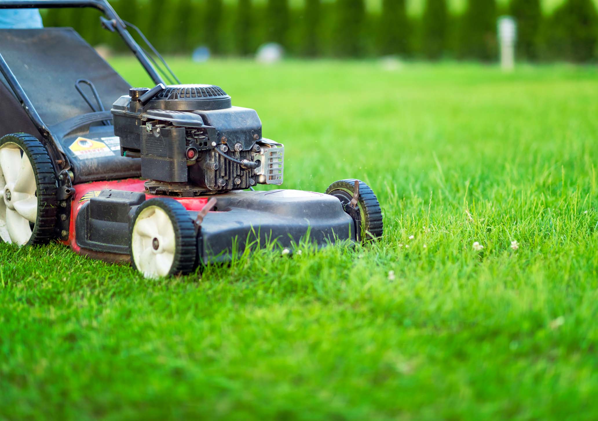 Aussie homeowner's Lawn guide (Downloadable Guide) | Love The Garden