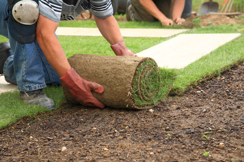 How to Lay Turf: Our Expert Guide | Love The Garden