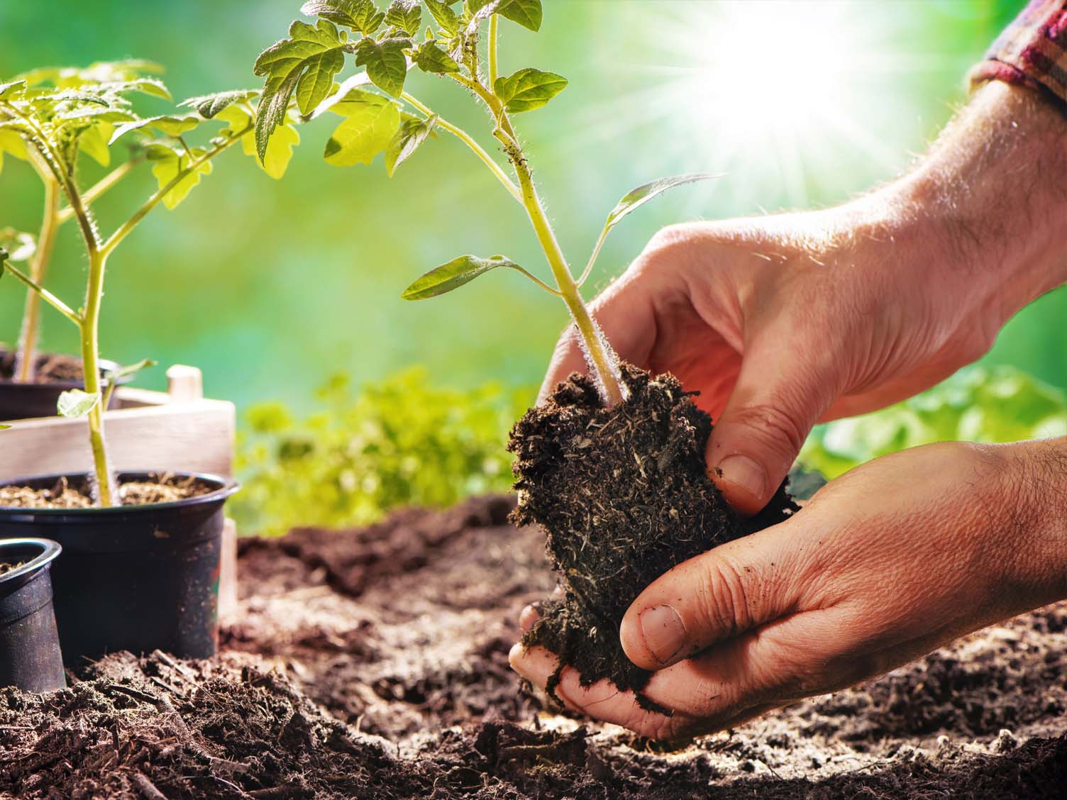 Garden Design Tips | Love The Garden