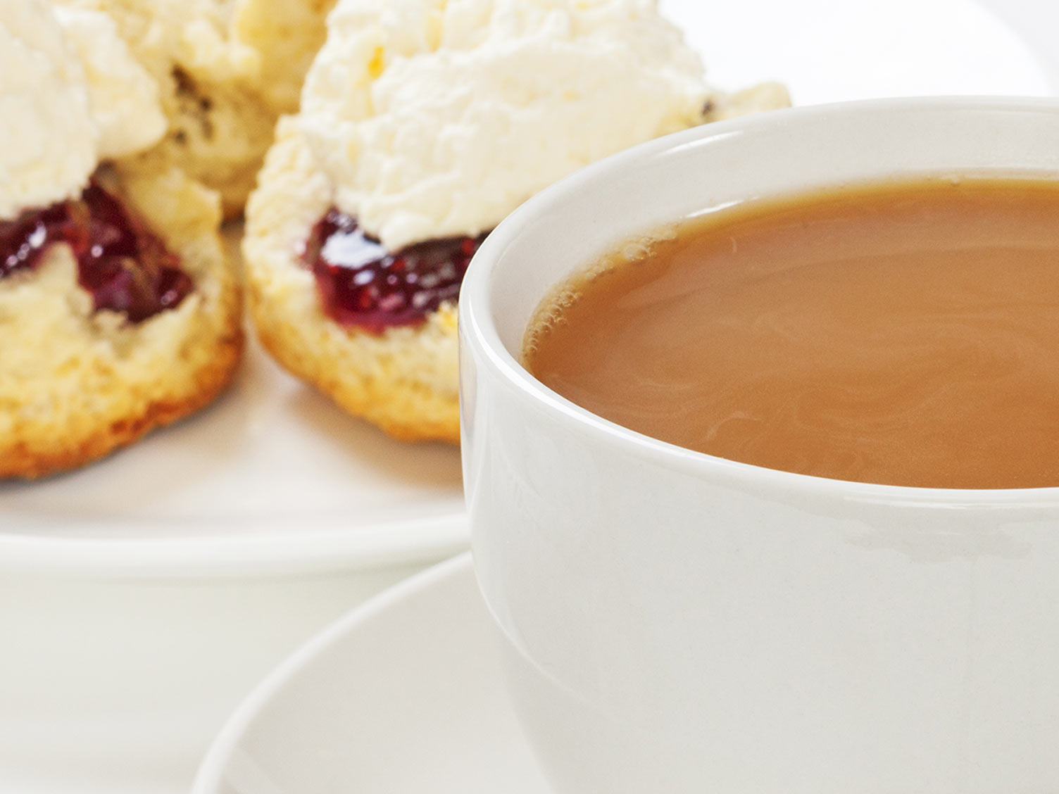 A complete guide to growing tea | Love The Garden