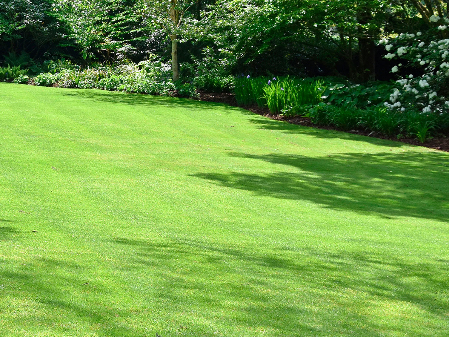 How to sow grass seed for the perfect lawn | Love The Garden