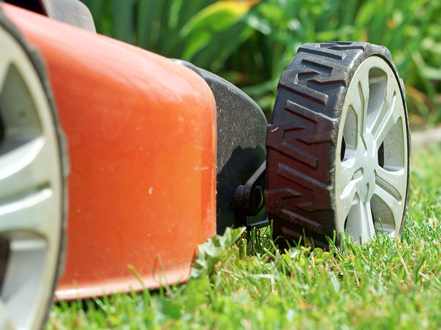 Complete Guide To Levelling A Lawn Love The Garden complete-guide-to-levelling-a-lawn-love-the-garden