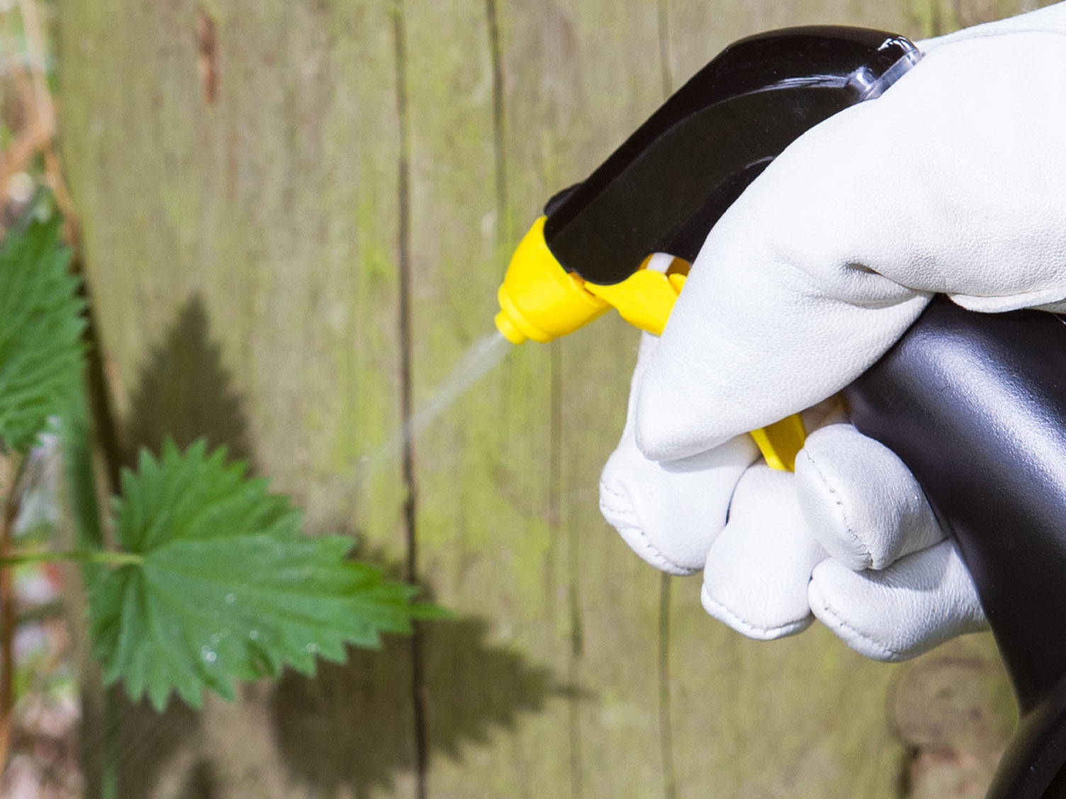 How to tackle weeds in paths and patios | Love The Garden