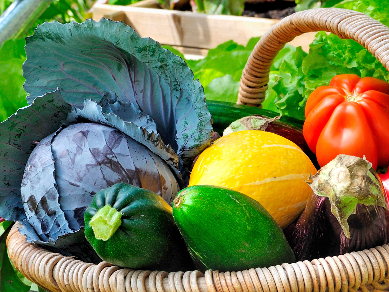 Growing Organic Fruit and Vegetables | Love The Garden