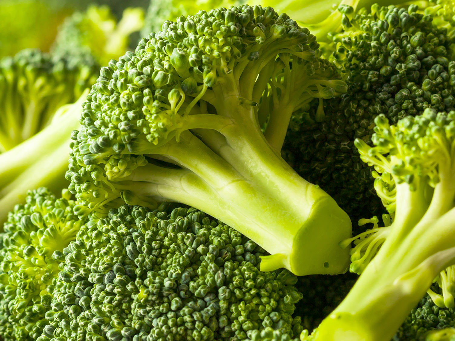 How To Grow & Care For Broccoli | Love The Garden
