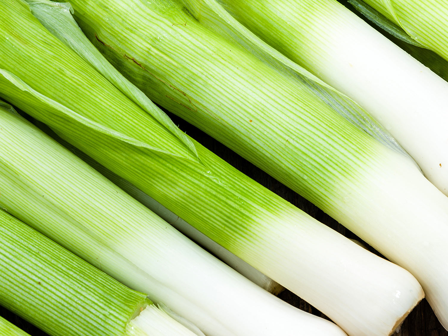 Leek rust - treatment and control | Love The Garden