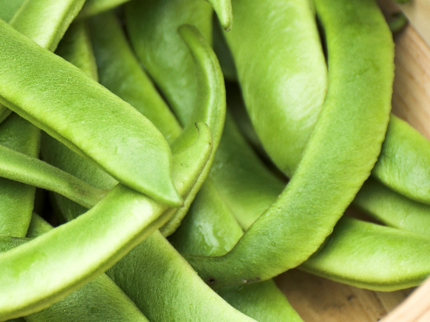 A guide to growing broad beans | Love The Garden