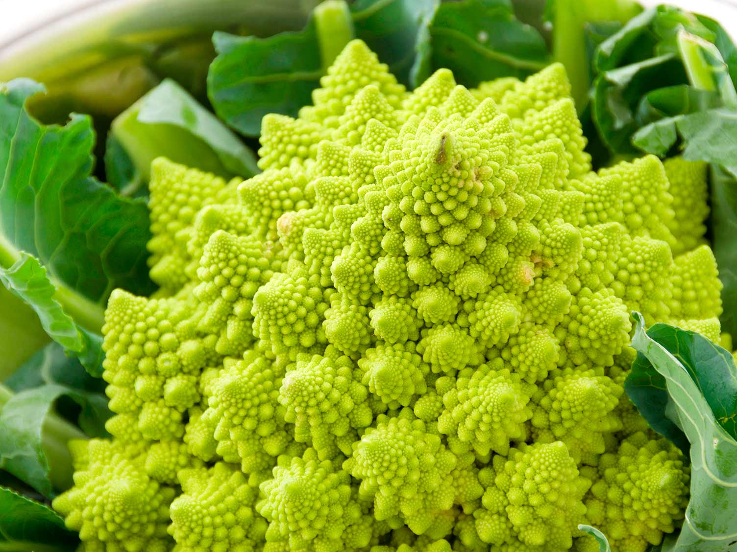 Top 10 Unusual Vegetables Lovethegarden