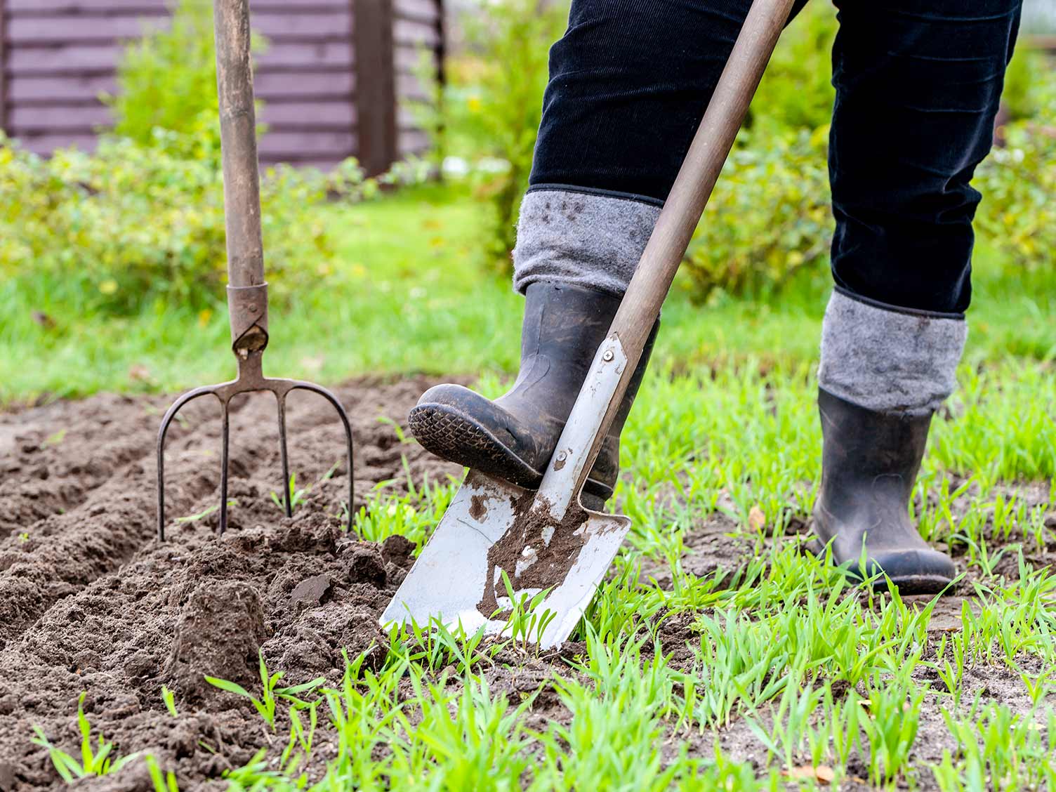 Gardening in May | Love The Garden