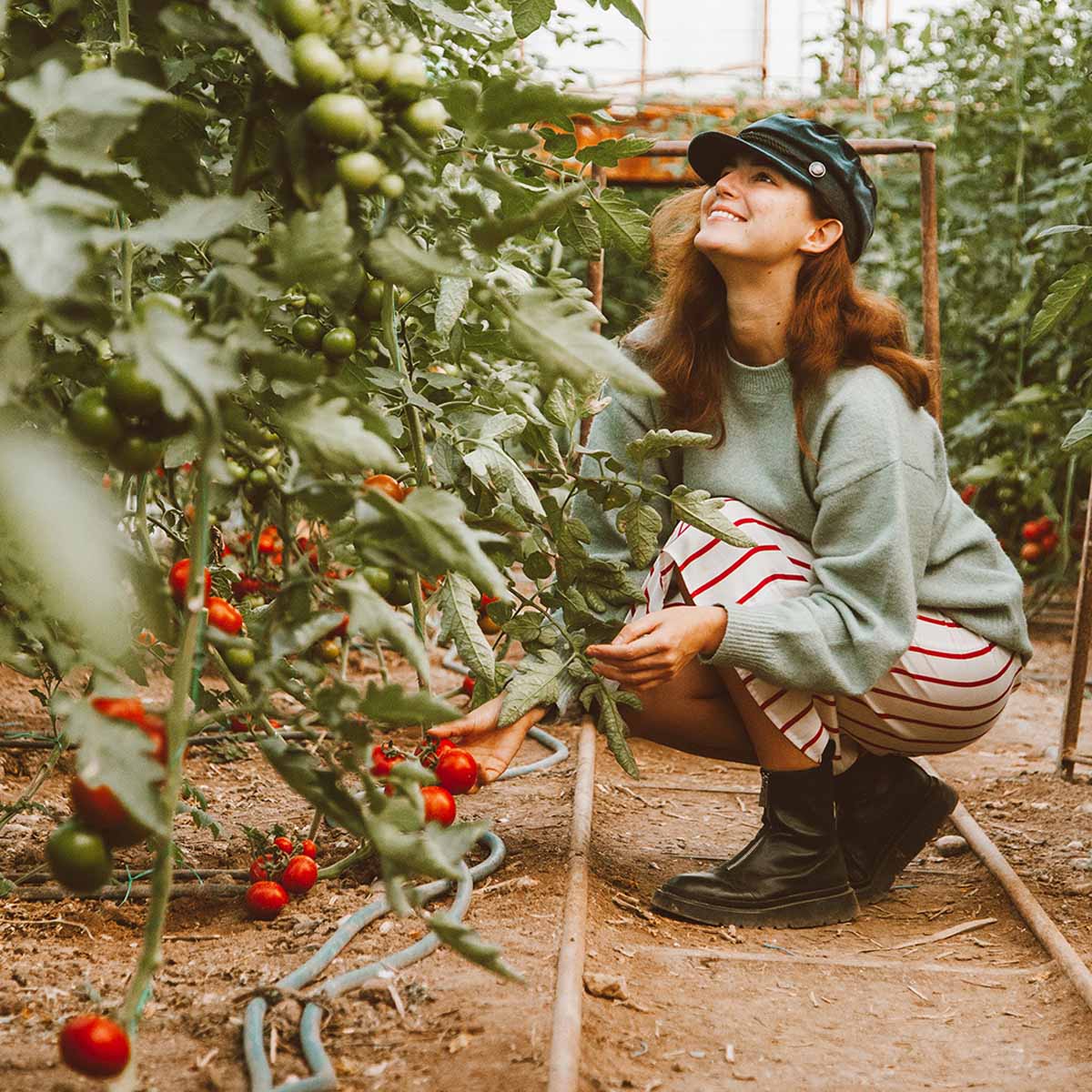 Substral® Potgrond moestuin Turfvrij, 40 L | Ilovemygarden