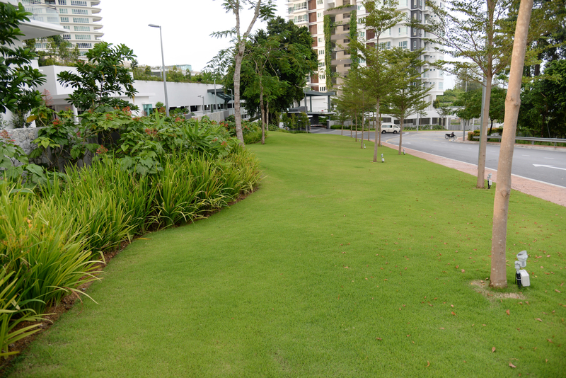 Lawn Care Guides and Tips | Love The Garden