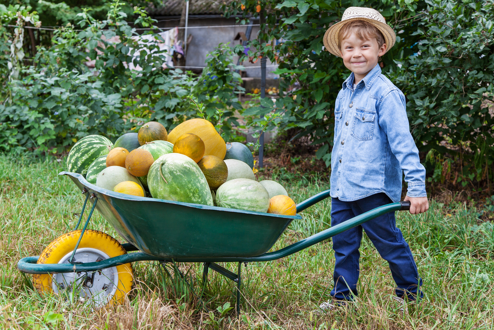 Blogues Â» Les Bons Gestes Du Jardinier En Mars Par Â» Ma Planète PPS ...