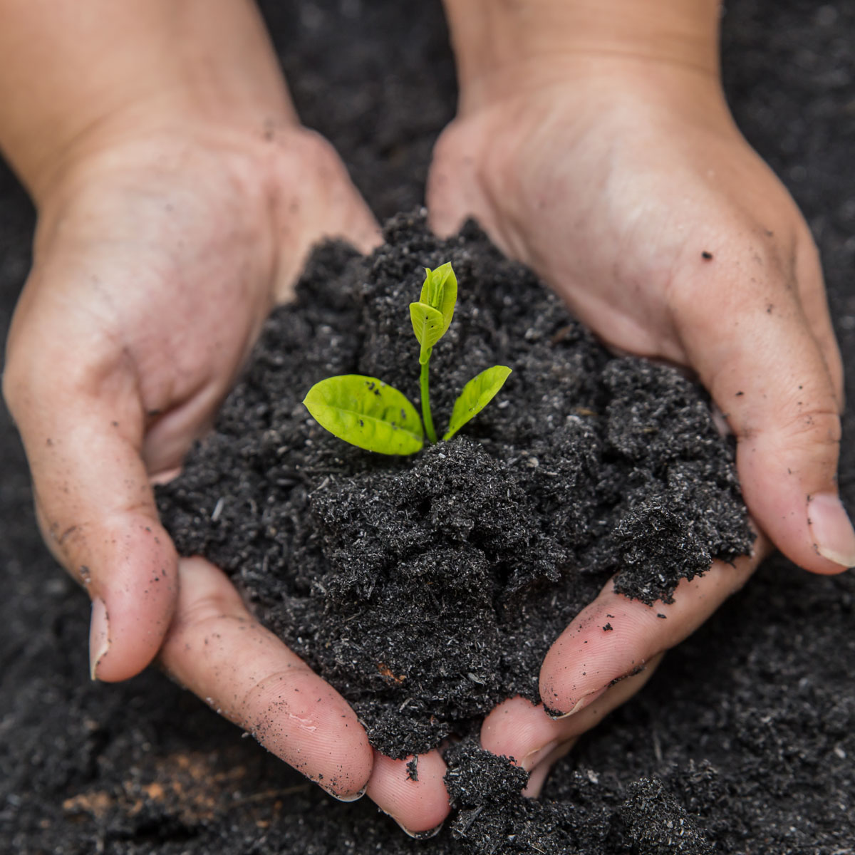 Substral® Potgrond moestuin Turfvrij, 40 L | Ilovemygarden