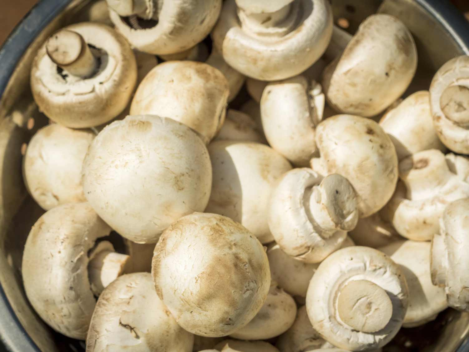 A guide to growing mushrooms | Love The Garden