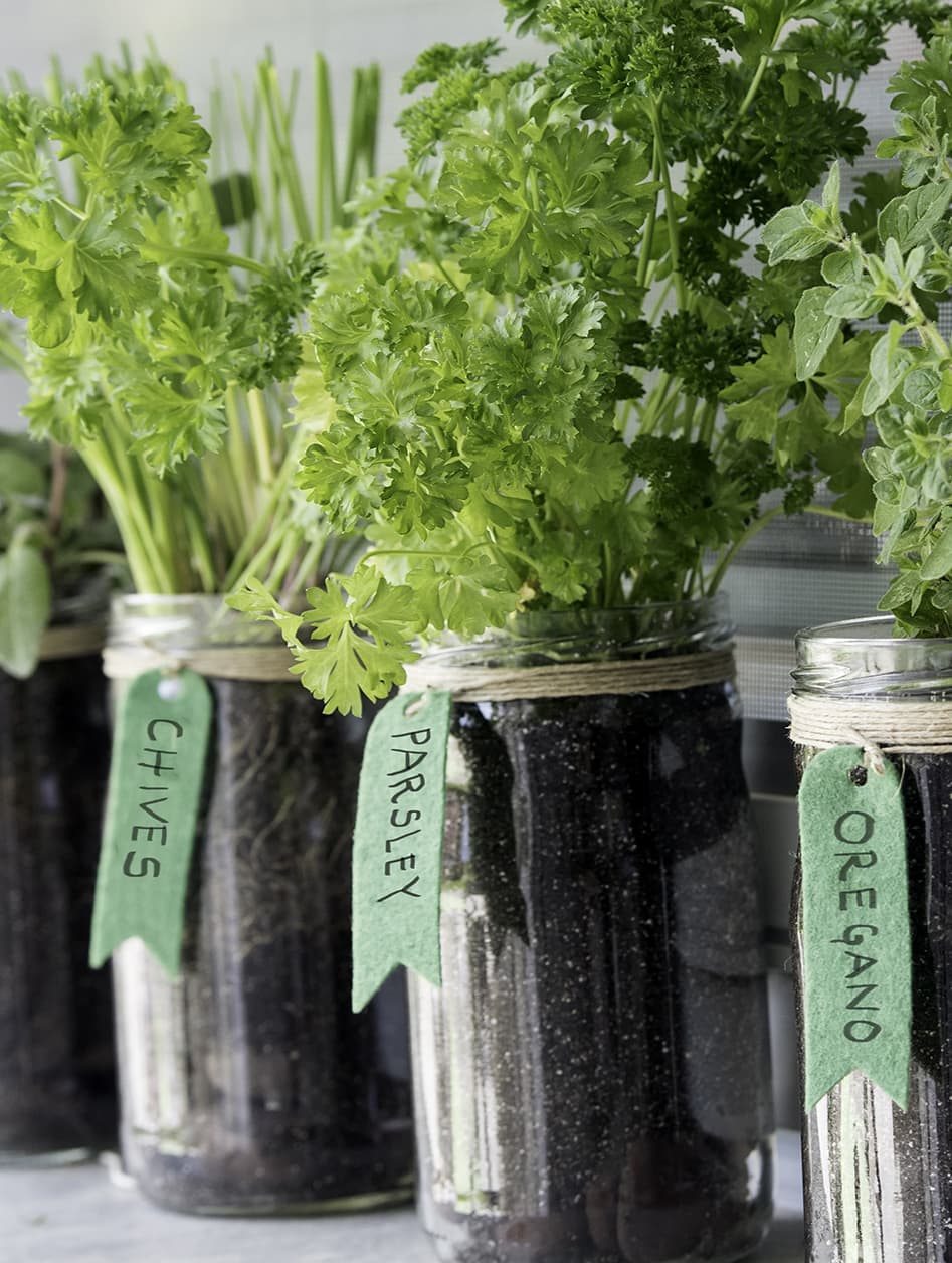 Debco | Love The Garden