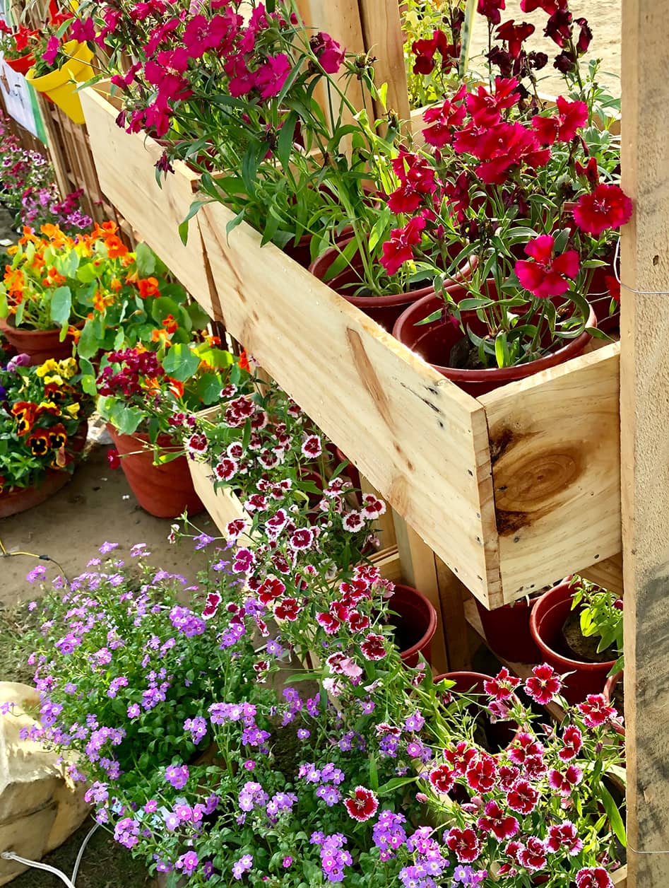 Debco | Love The Garden