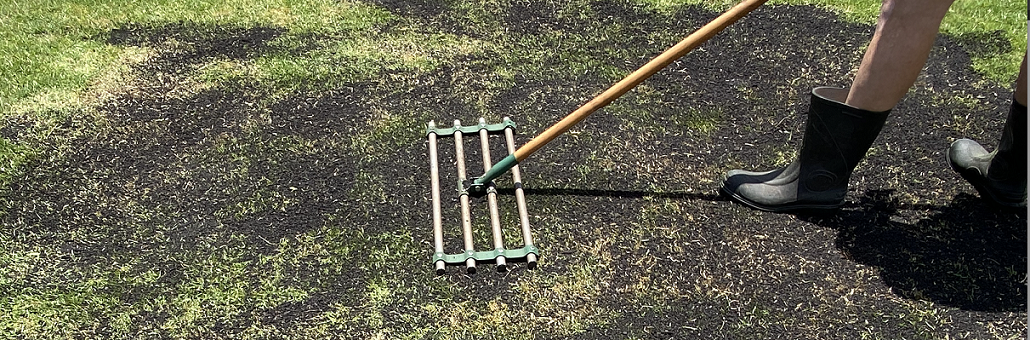 How & Why You Should Top Dress Your Lawn | Love The Garden