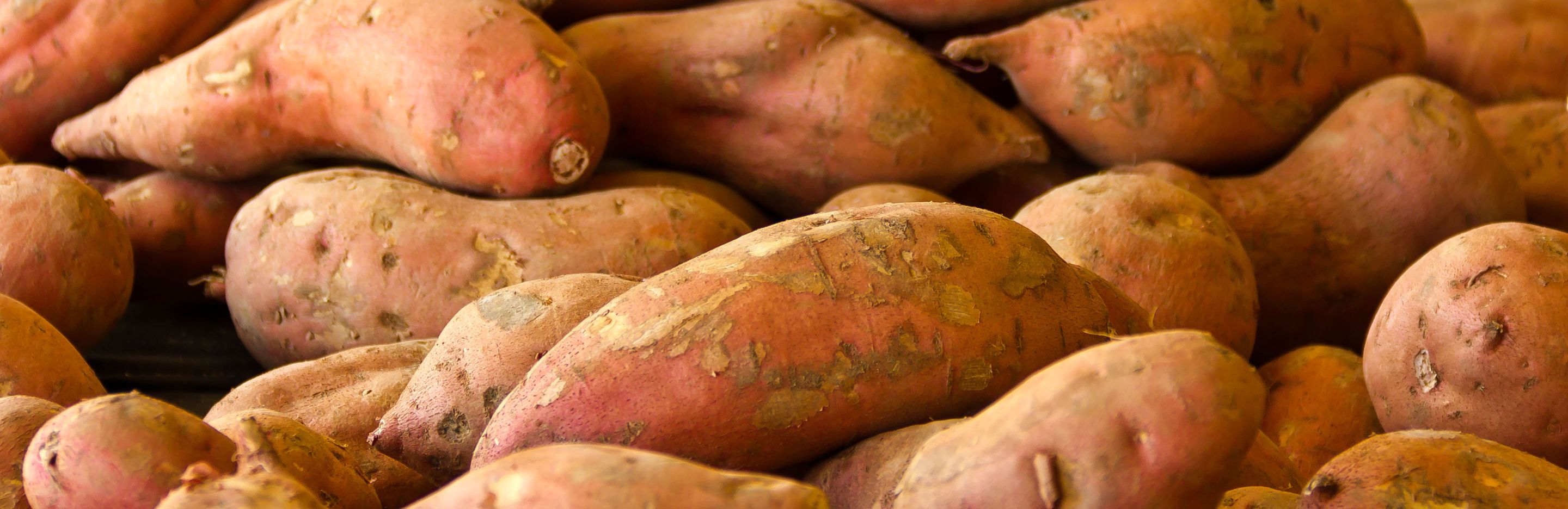 How to grow & care for yam in 5 simple steps - Love The Garden
