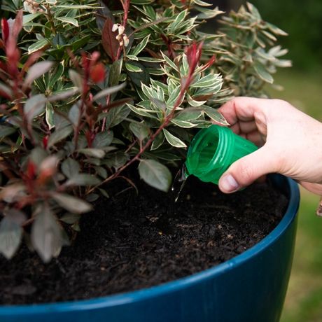 Scotts Osmocote Pour+Feed for Roses | Easy to Use Plant Food