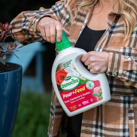 Scotts Osmocote Pour+Feed for Roses | Easy to Use Plant Food