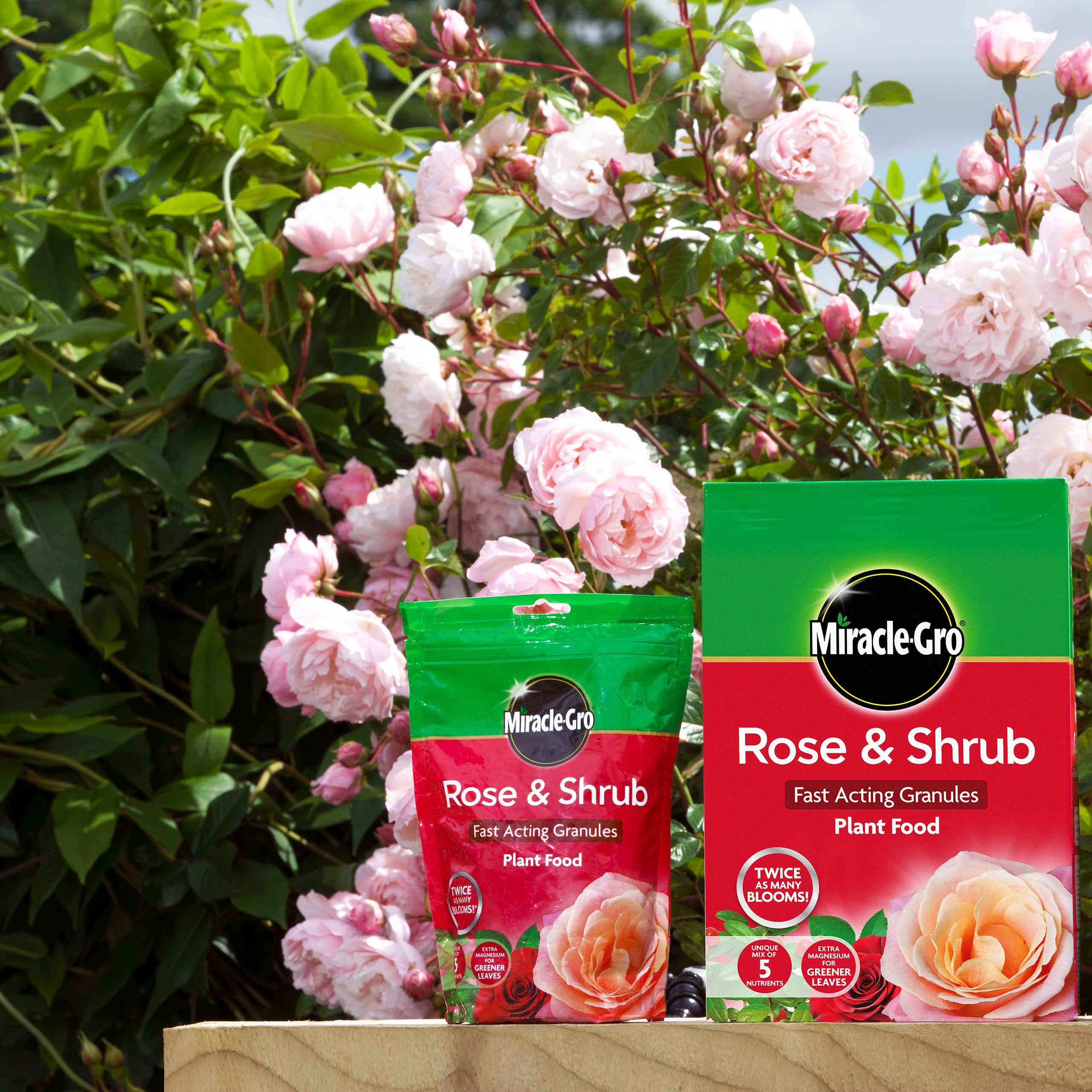 Miracle-Gro® Rose & Shrub Fast Acting Granules Plant Food 750g pouch