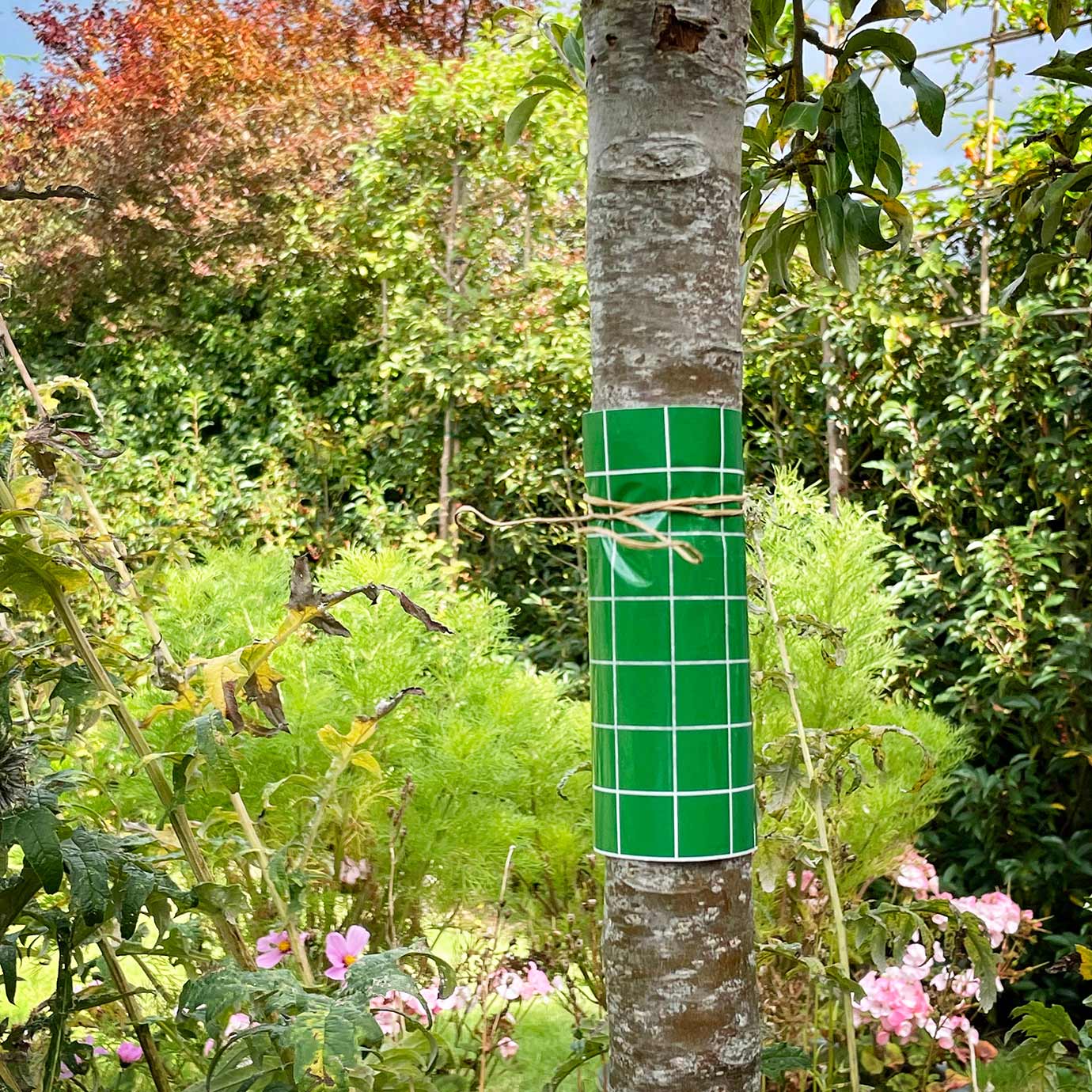 BugClear™ Insect Glue Barrier 5 metres