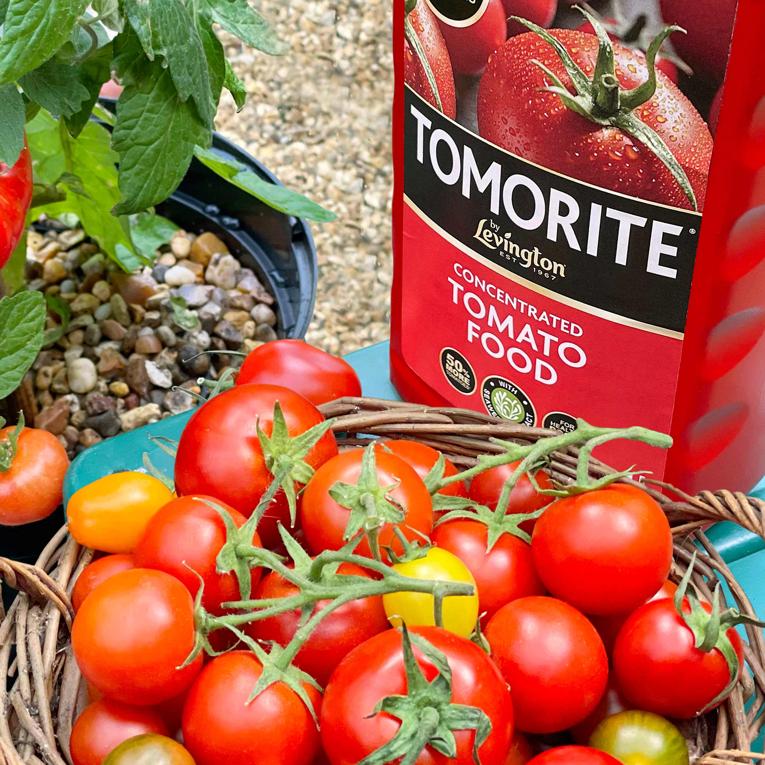 Levington® Tomorite® Concentrated Tomato Food 1 litre
