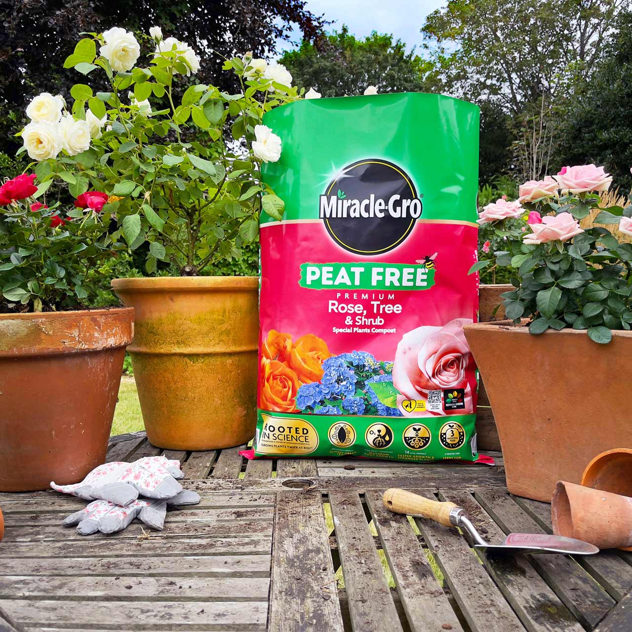 Miracle-Gro® Peat Free Premium Rose, Tree & Shrub Compost 40 litres
