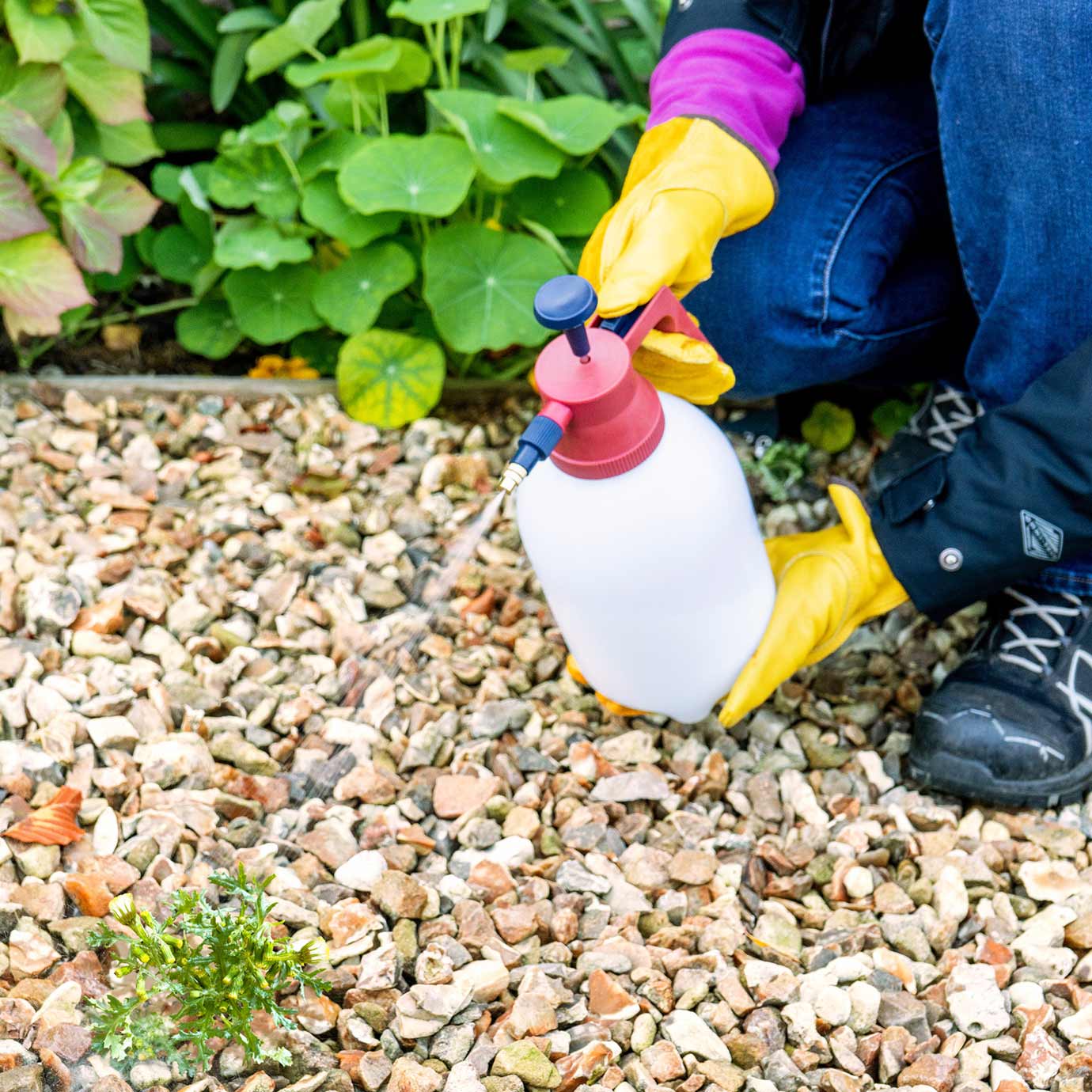 Weedol® Path & Gravel Control (Concentrate Tubes) 12 tubes