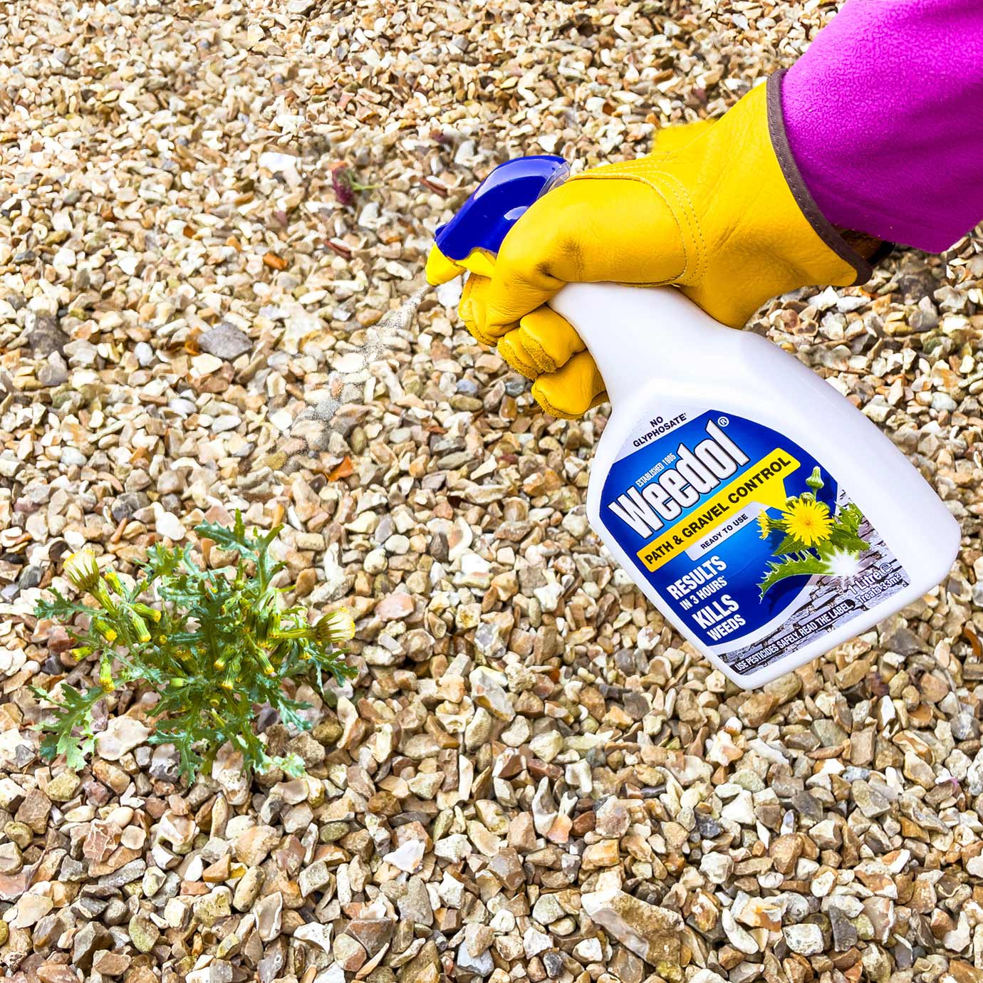 Weedol® Path & Gravel Control (Ready to Use) 1 litre