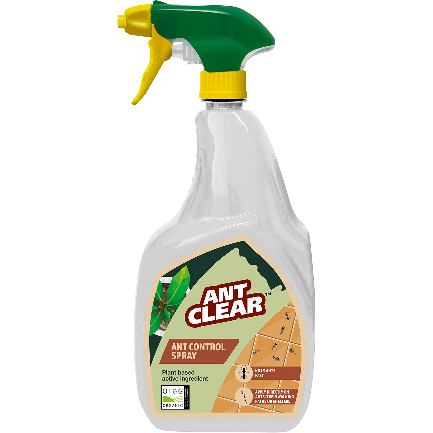 Ant Control | Love The Garden