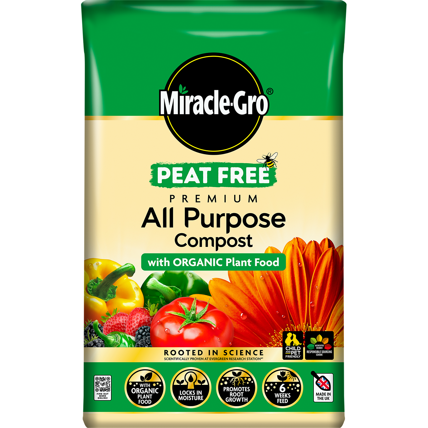 How to grow saffron | Love The Garden