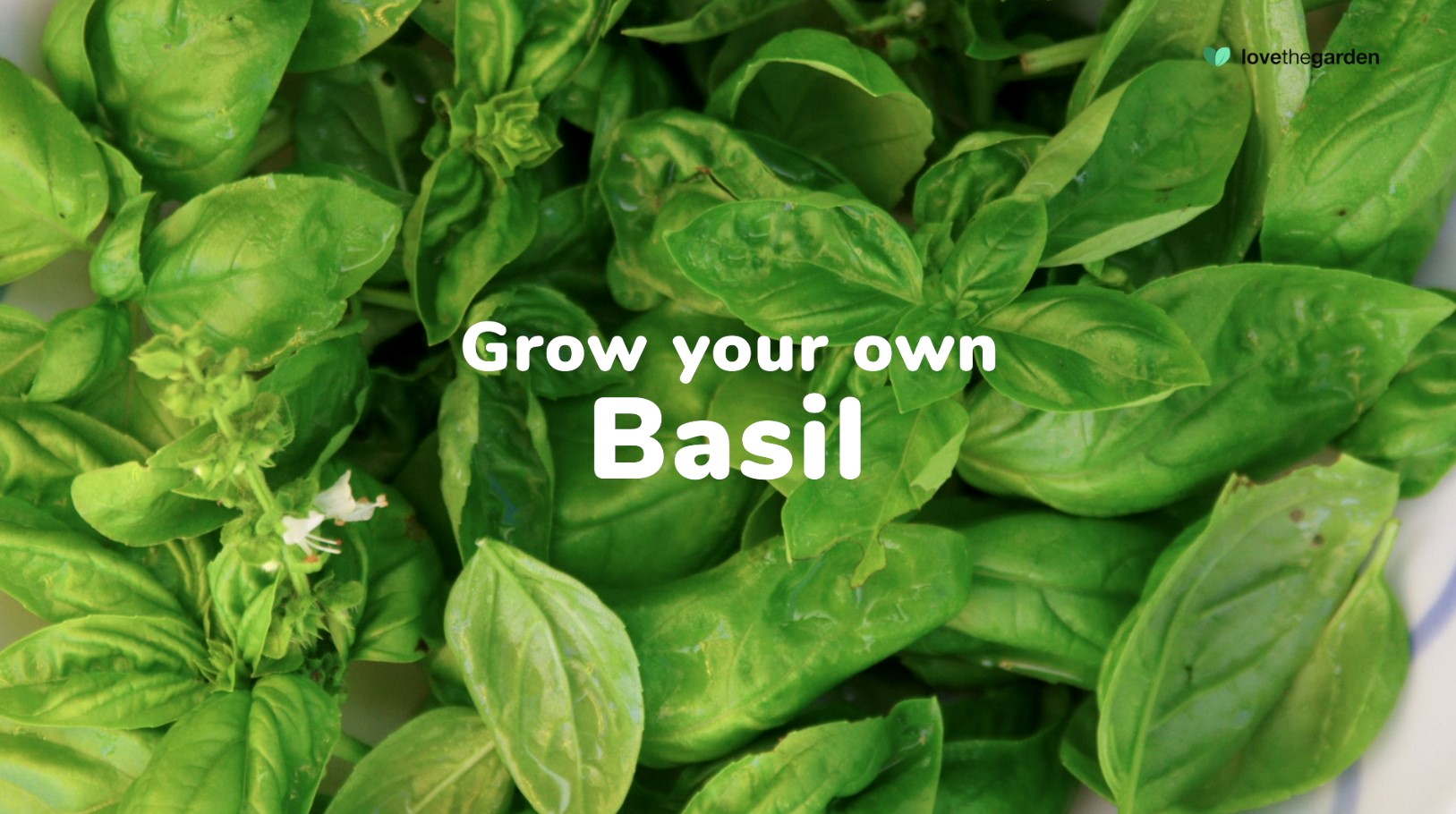 Watch our videos | Love The Garden