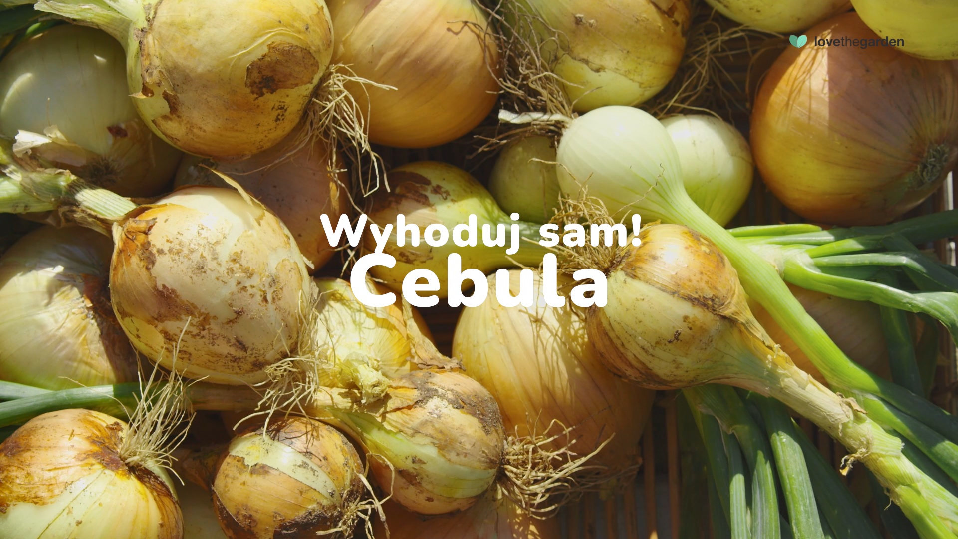 Obejrzyj nasze wideo | Love The Garden