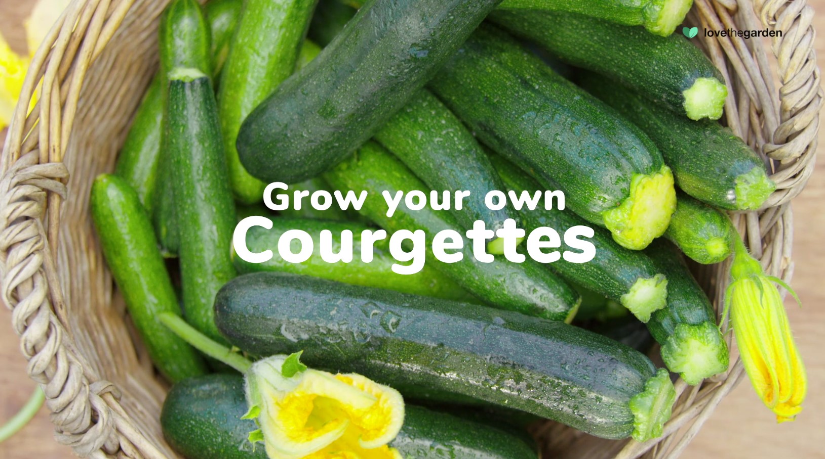 Tool overview | Love The Garden