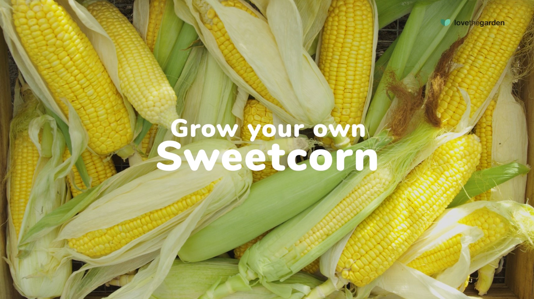 Tool overview | Love The Garden