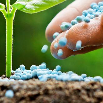 How to Feed Plants | Love The Garden