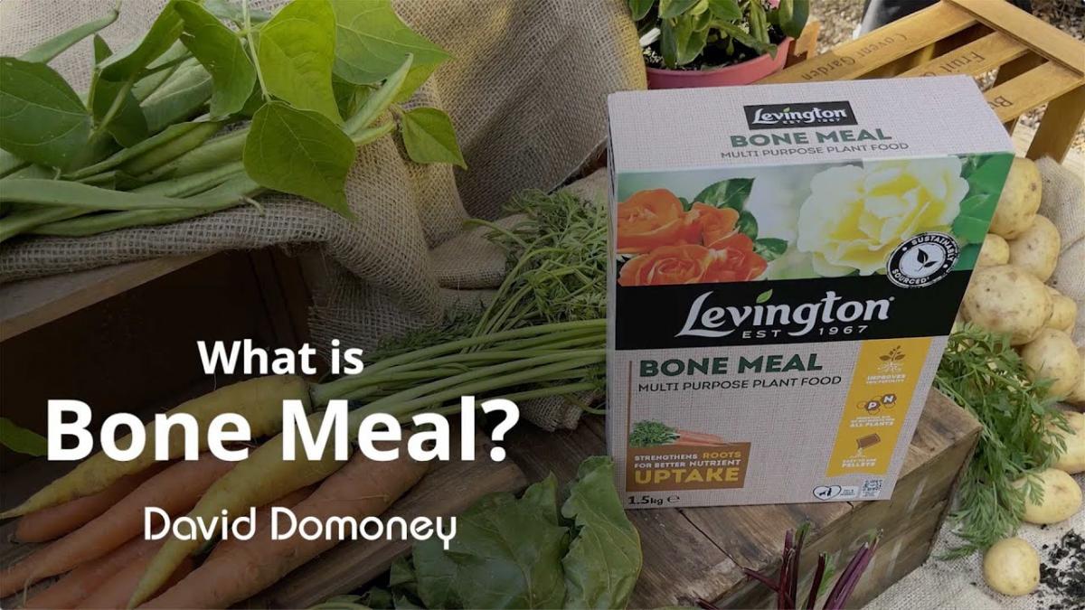 How to use bone meal fertiliser for plants | Love The Garden
