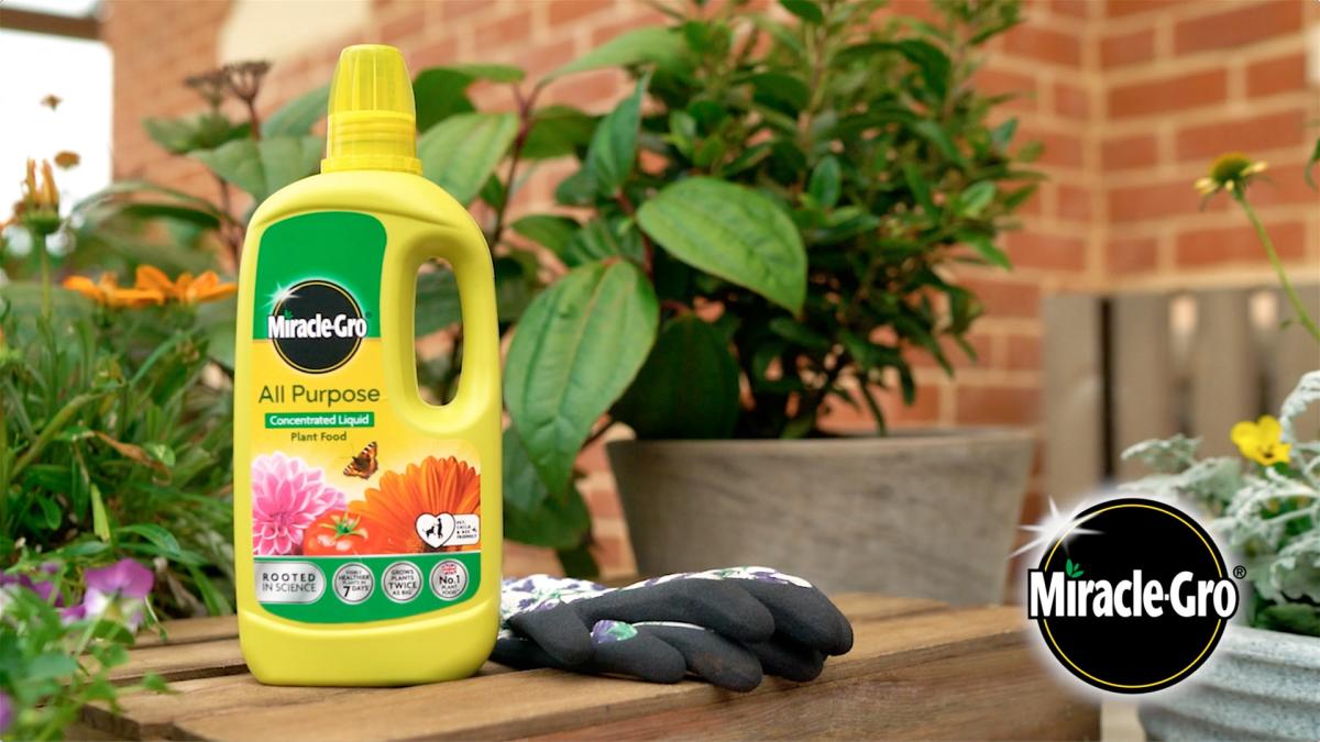 Miracle-Gro® - The Official UK Site