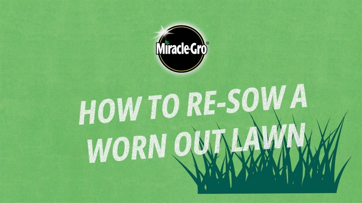 How to seed and grow grass | Love The Garden